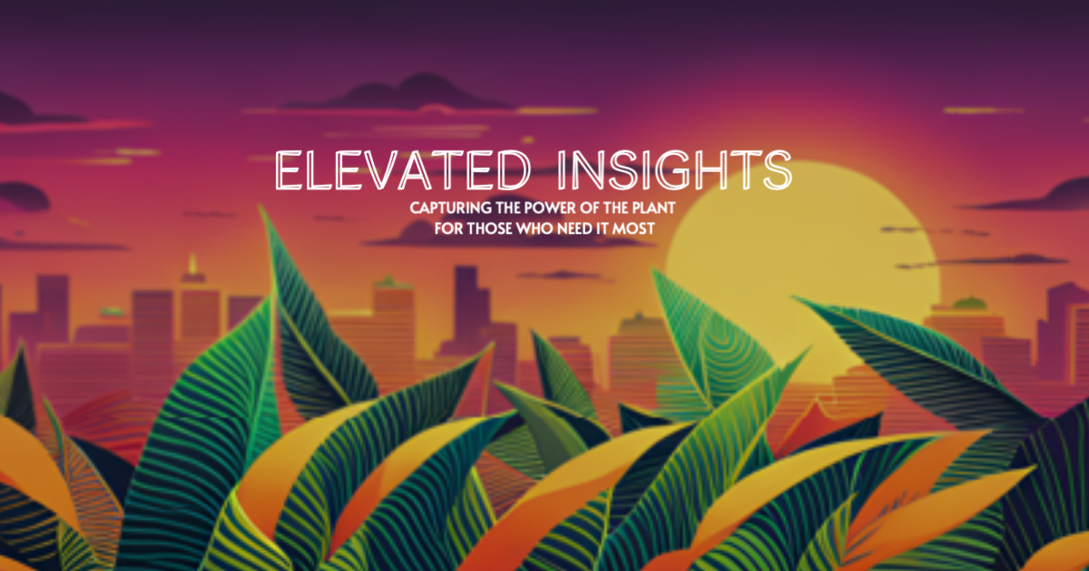 ELEVATED INSIGHTS